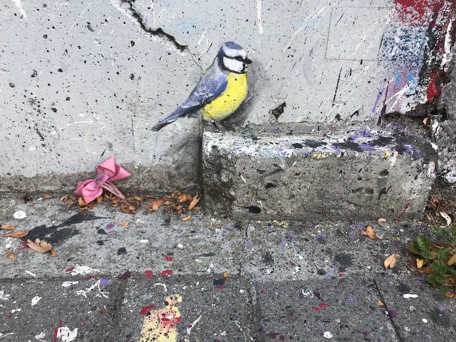 Ruben bird | Jugeote