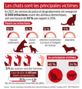 Maltraitance animale infographie | Jugeote